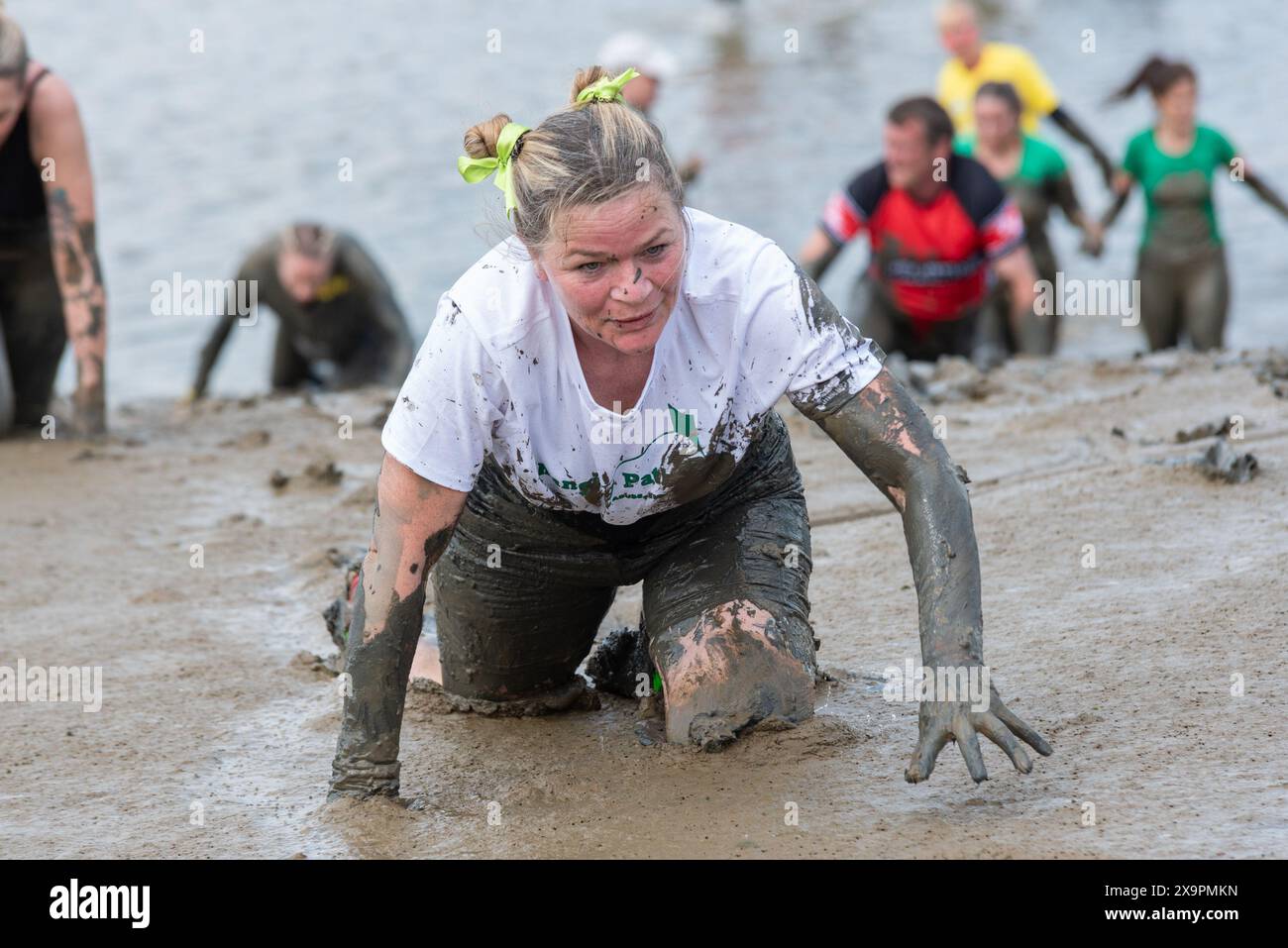 Promenade Park, Maldon, Essex, UK. 2nd Jun, 2024. Large numbers of ...