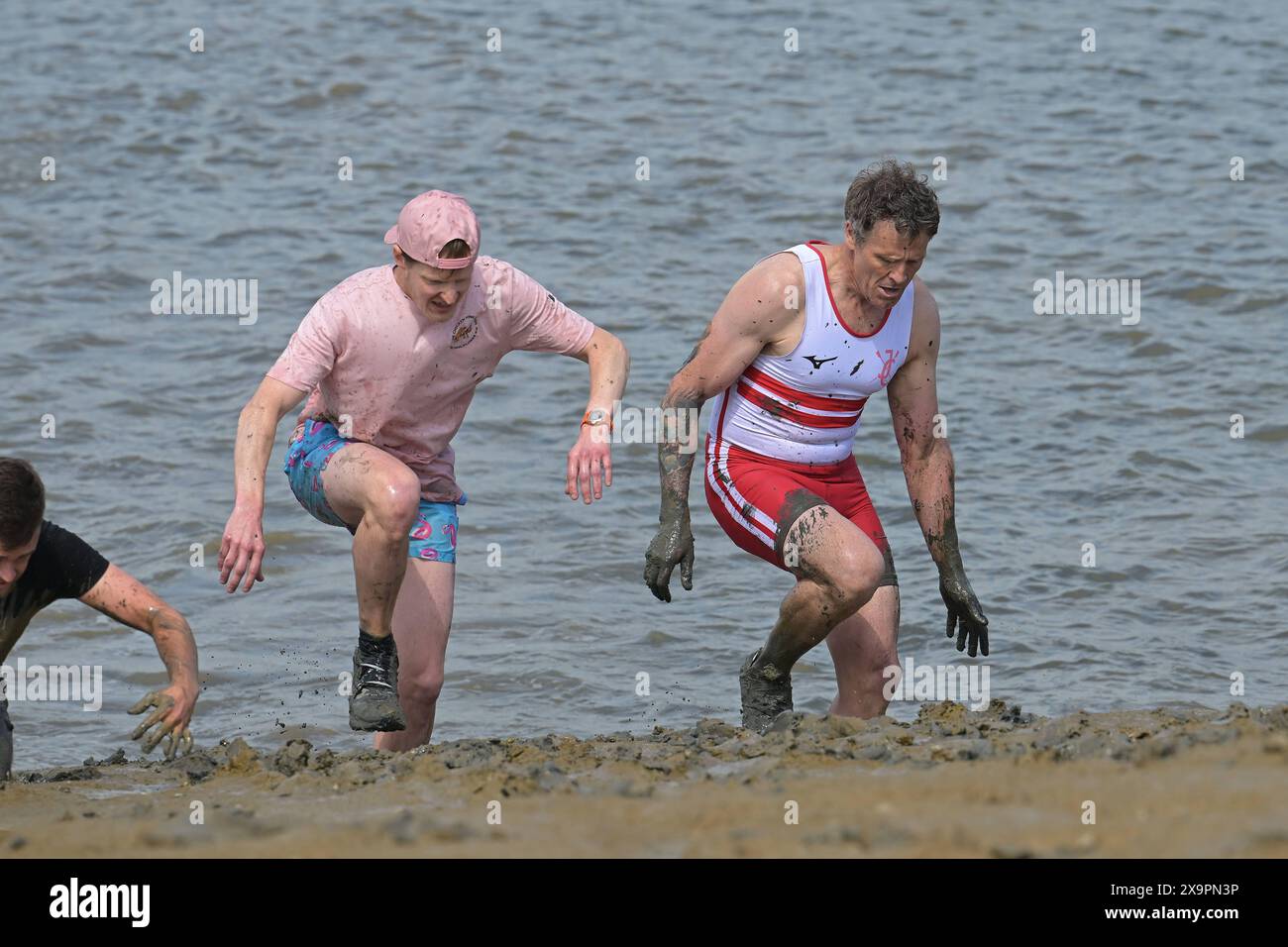 Maldon mud race takes place hi-res stock photography and images - Alamy