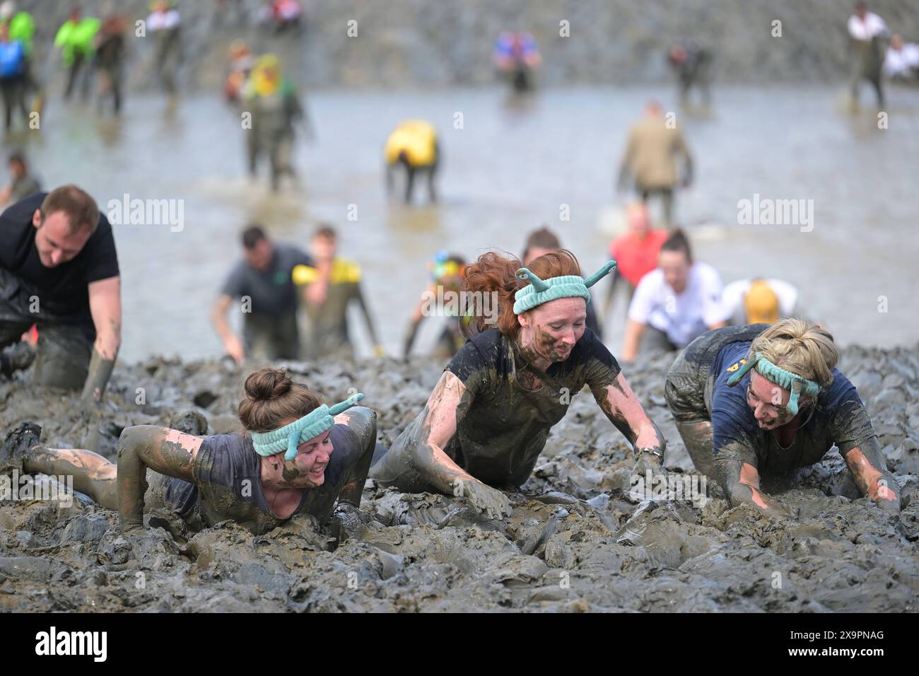 Maldon Mud Race Hundreds of competitors take part in the 50th ...