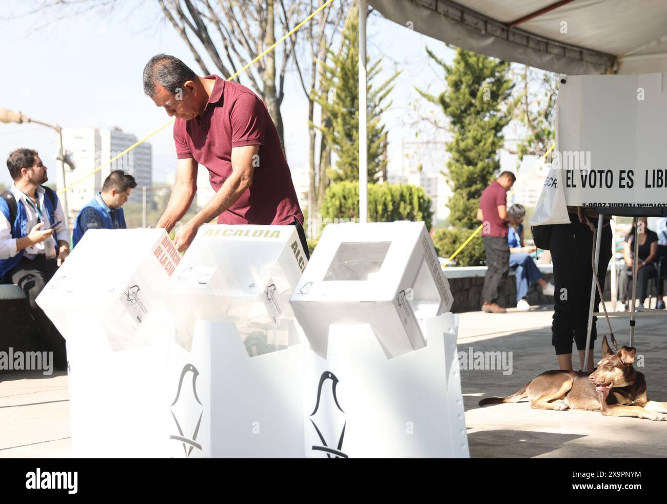 Mexico presidency 2024 hi-res stock photography and images - Alamy