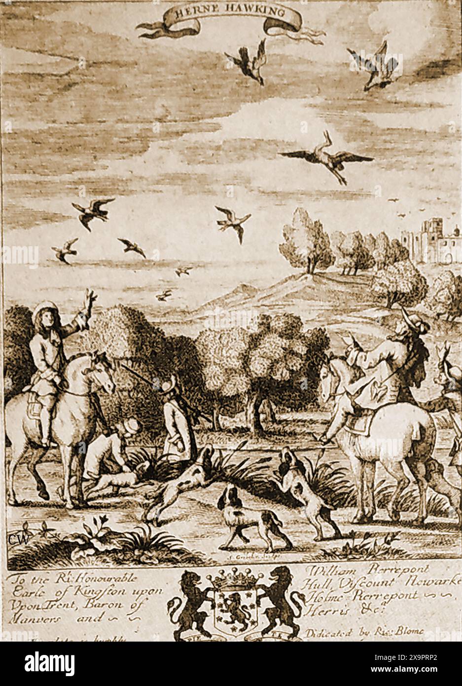 A very old image of British Earl of Kingston on Trent hunting herons ...