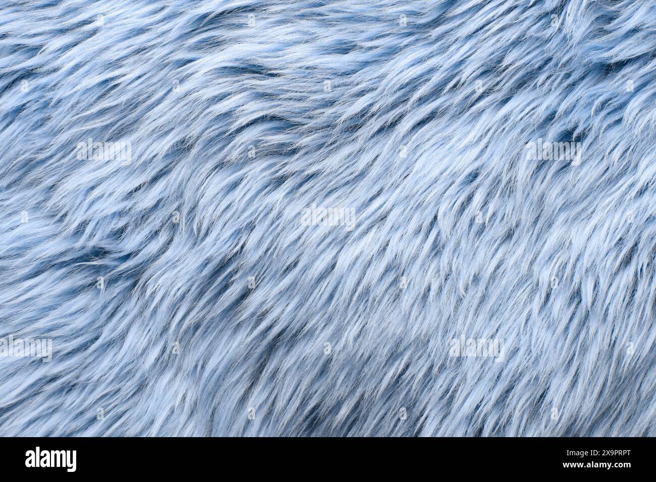 Texture of light blue faux fur as background, closeup Stock Photo - Alamy