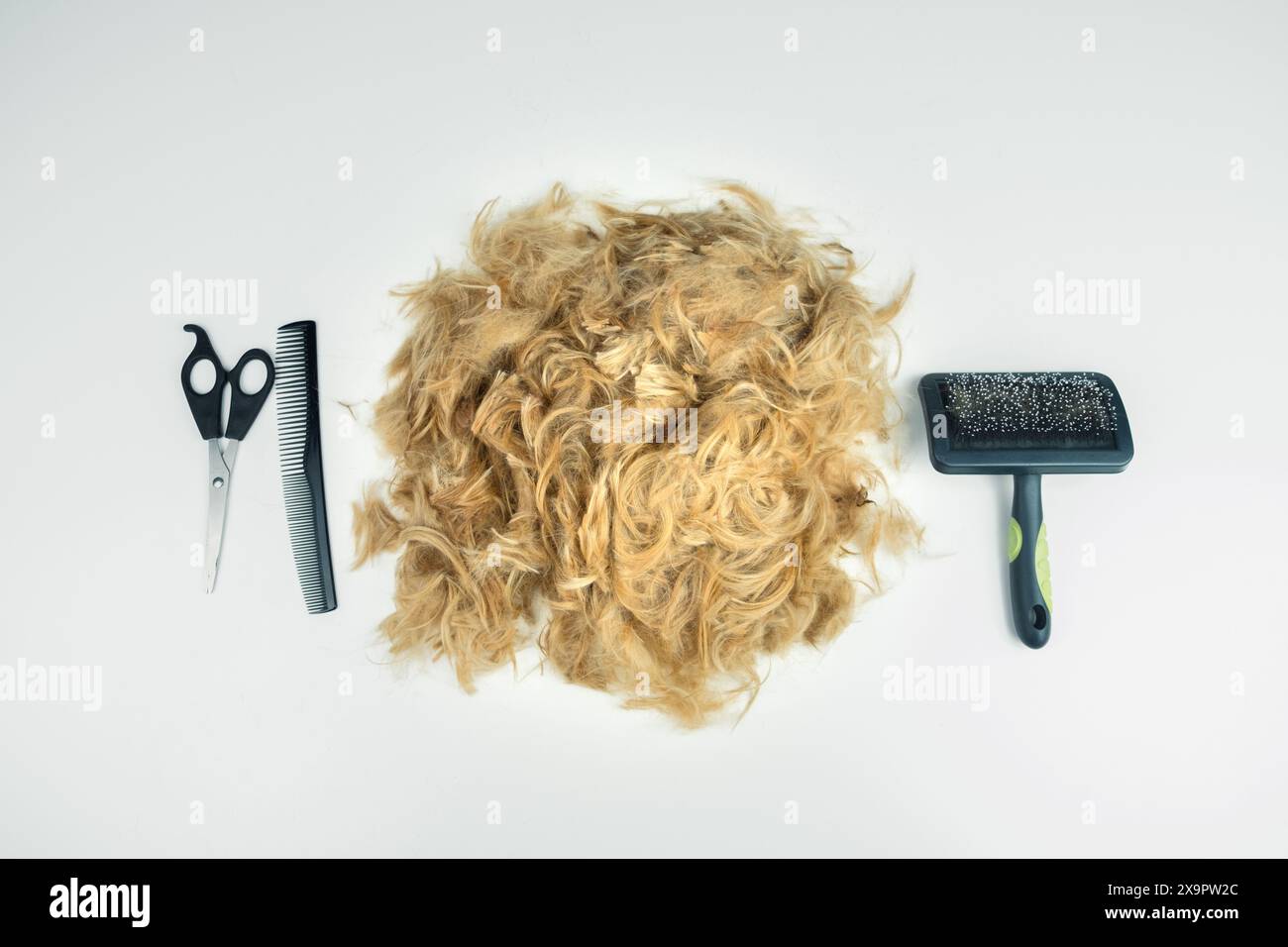 Composition of a huge ball of freshly cut animal hair in a pet grooming ...