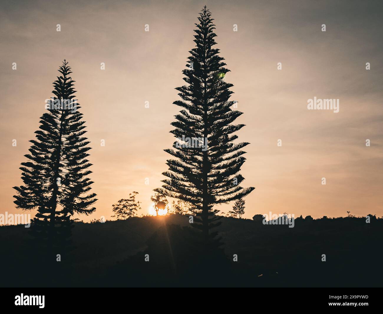 Shevaroy hills tamil nadu hi-res stock photography and images - Alamy