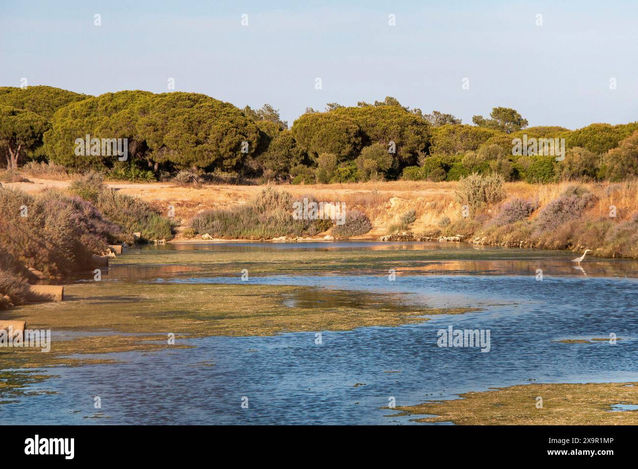 Fish farm located in a marsh on the European Atlantic coast where crabs ...