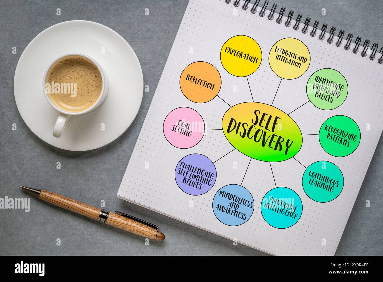 self discovery infographics or bubble diagram, exploring, learning ...