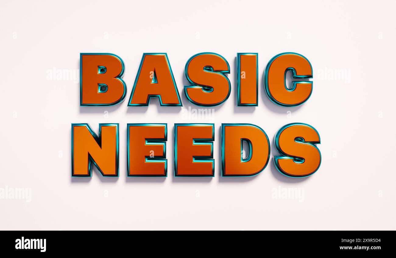 Basic Needs Basic needs. Words in orange metallic capital letters ...