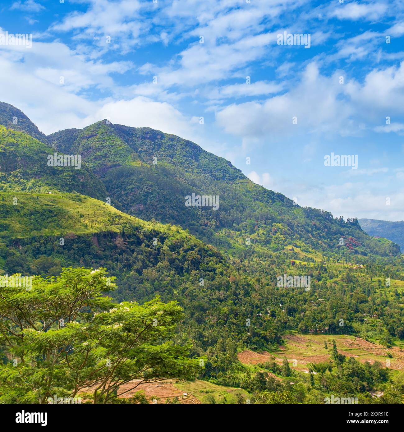 Hilly landscape of Sri Lanka dotted with villages and tea plantations ...