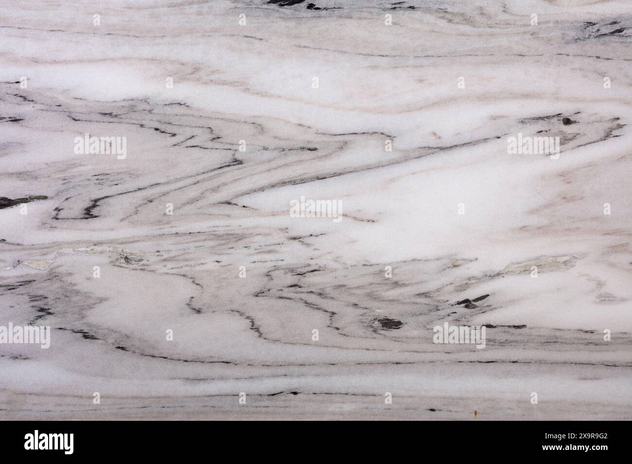 Palissandro texture hi-res stock photography and images - Alamy