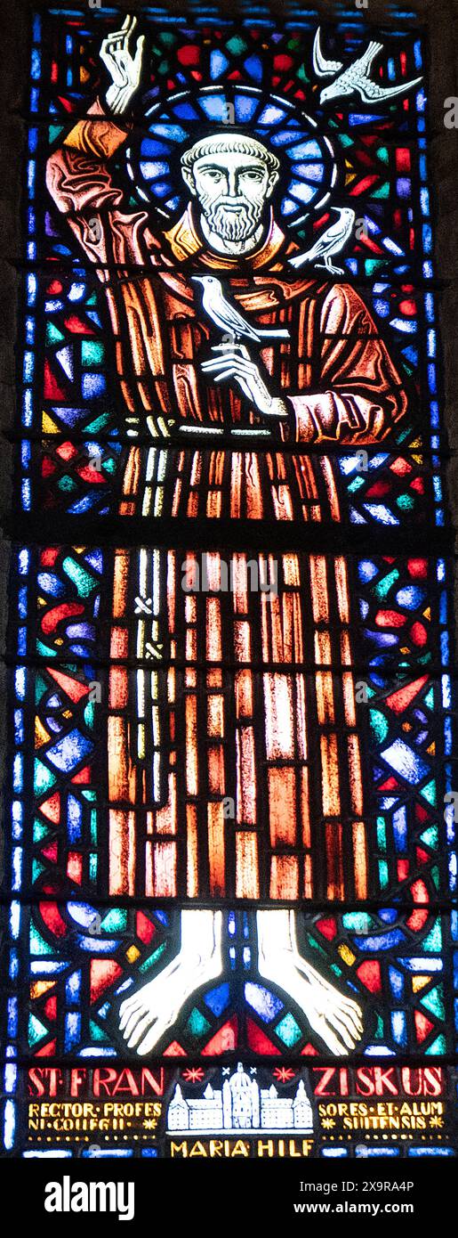 Stained-glass window depicting St.Francis in the Cathedral of St, Mary ...