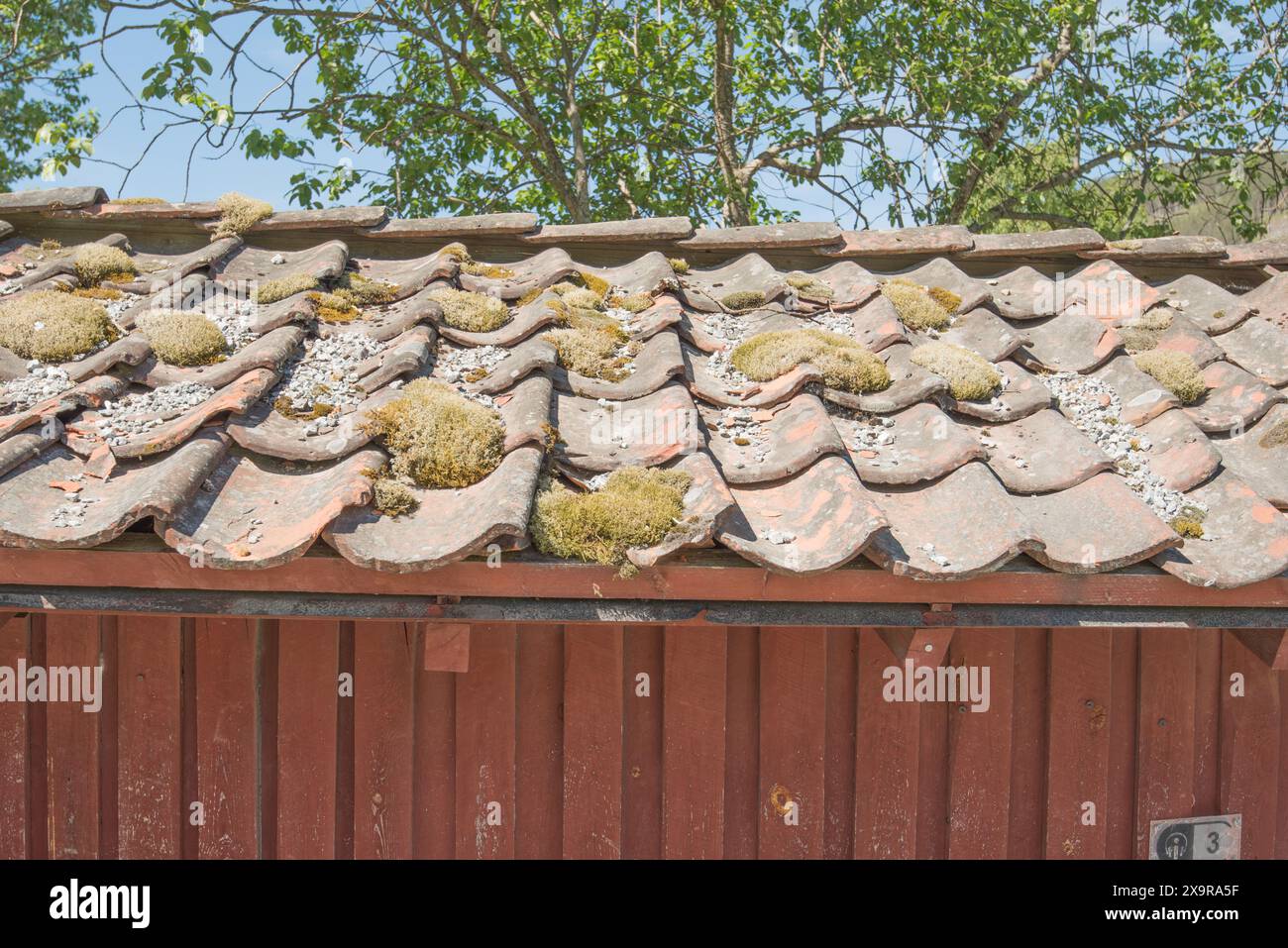 Clay roof tiles Nordfjord Museum of Cultural History has number of ...