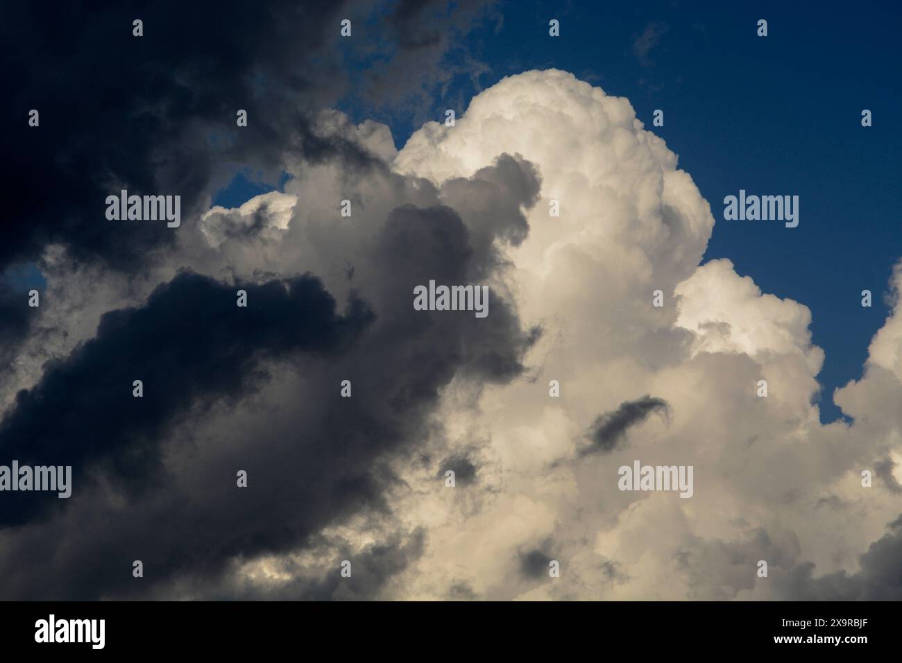 Cumulus clouds form in the sky in North Carolina, USA Stock Photo - Alamy