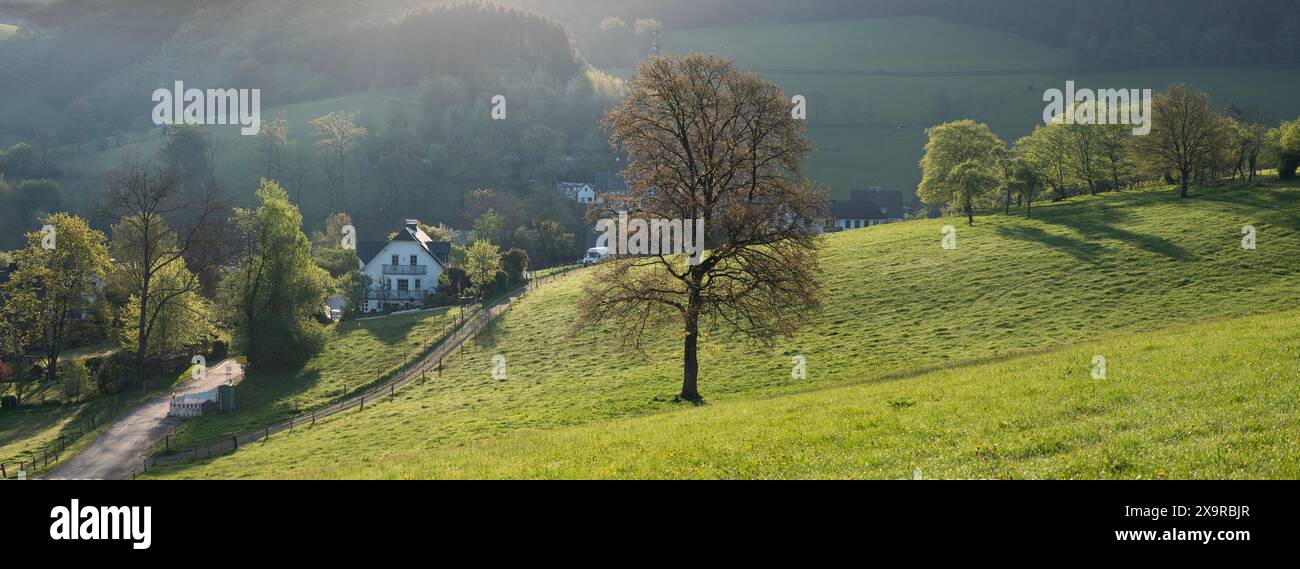 fresh leaved trees and fields near village in beautiful sauerland ...