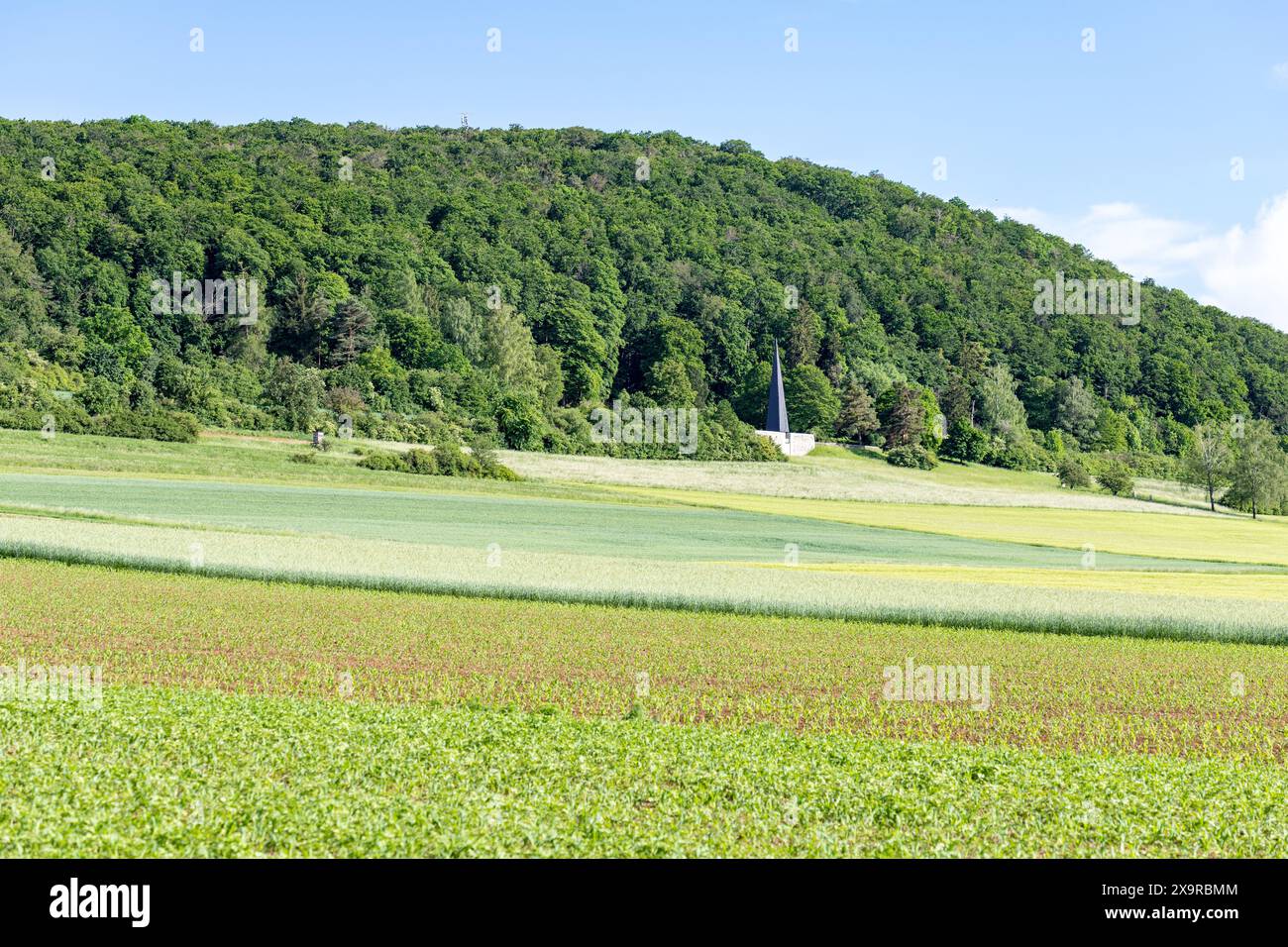 memorial containing the skeletal remains of soldiers who died on the ...