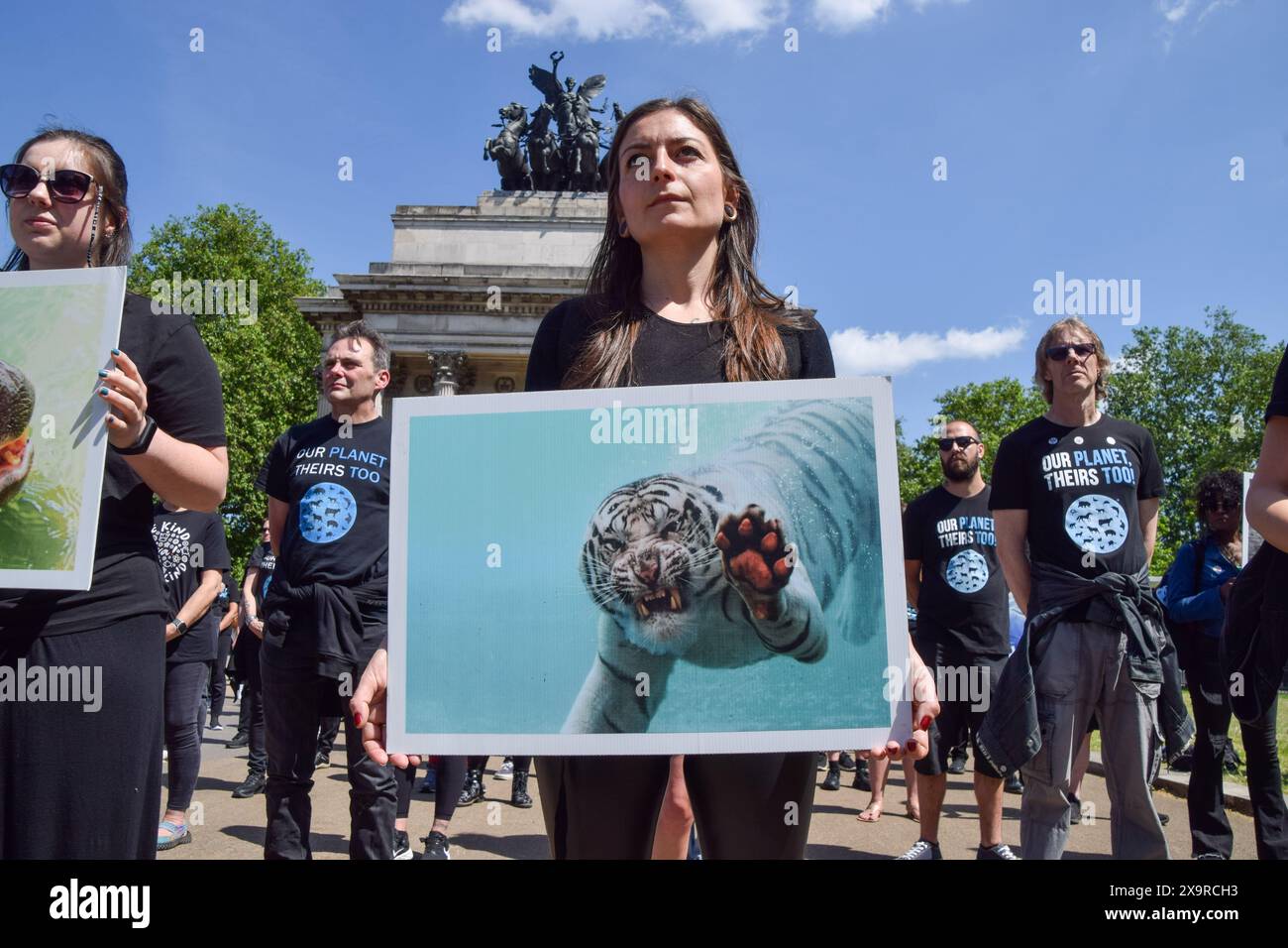 London, UK. 02nd June, 2024. A protester holds a picture of a tiger in ...
