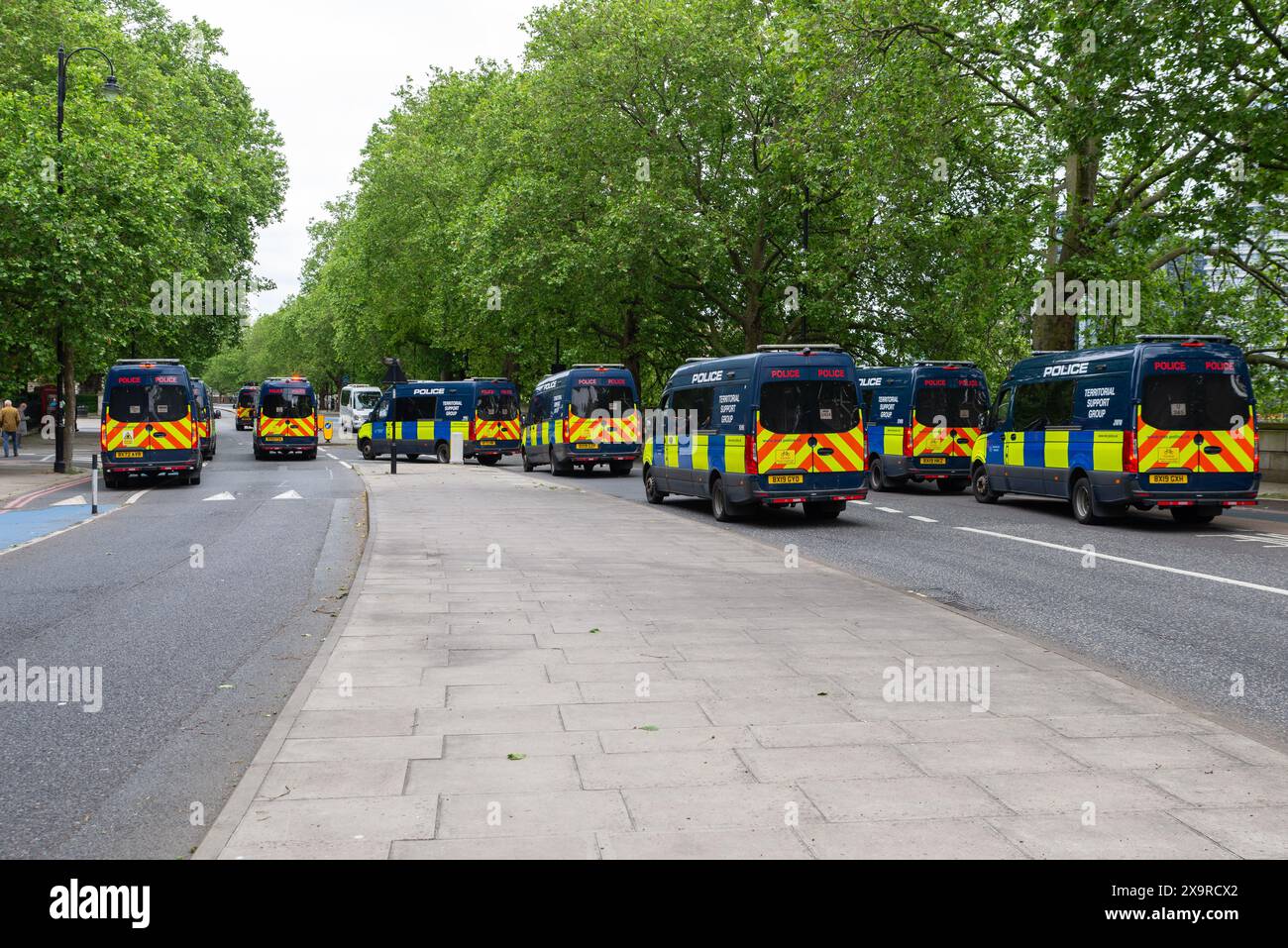 Metropolitan Police Territorial Support Group vans, Millbank, London ...