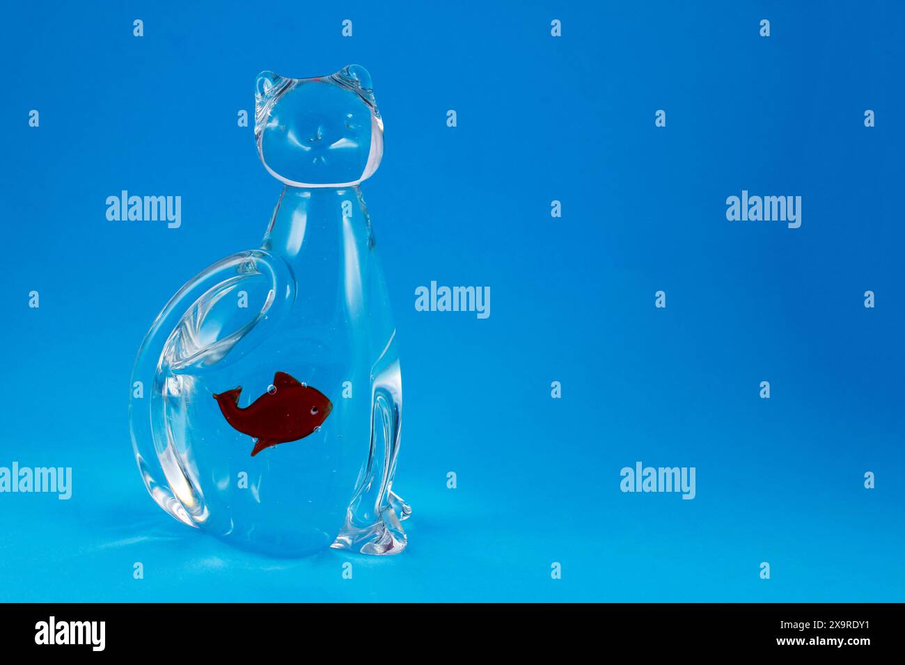 Crystal cat fish hi-res stock photography and images - Alamy