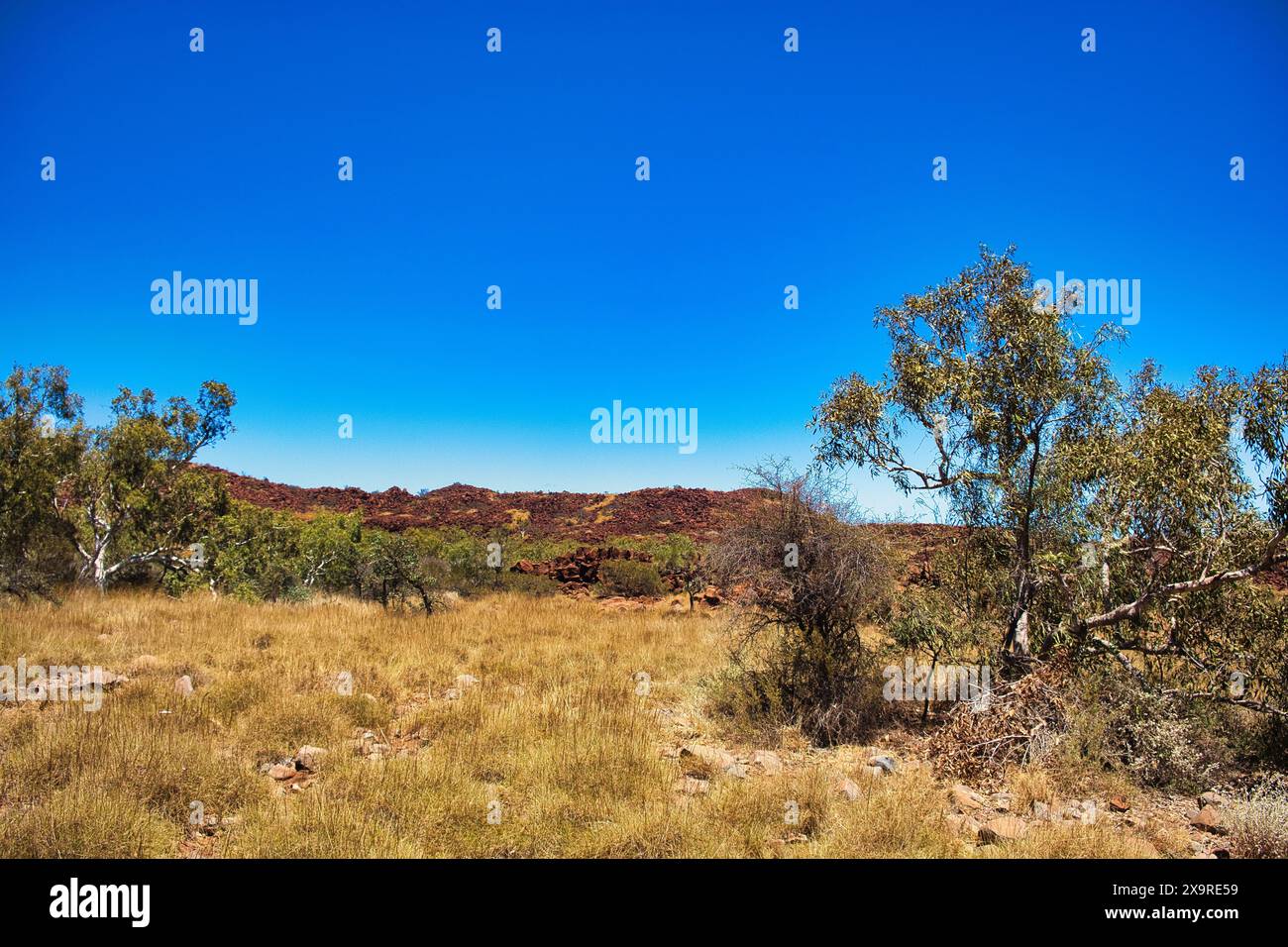 Pilbara western australia hi-res stock photography and images - Alamy