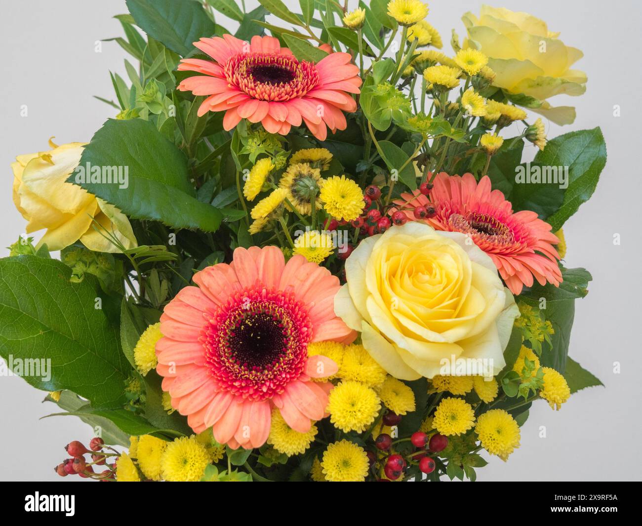A bouquet of flowers with vivid colors and various species. The bouquet ...