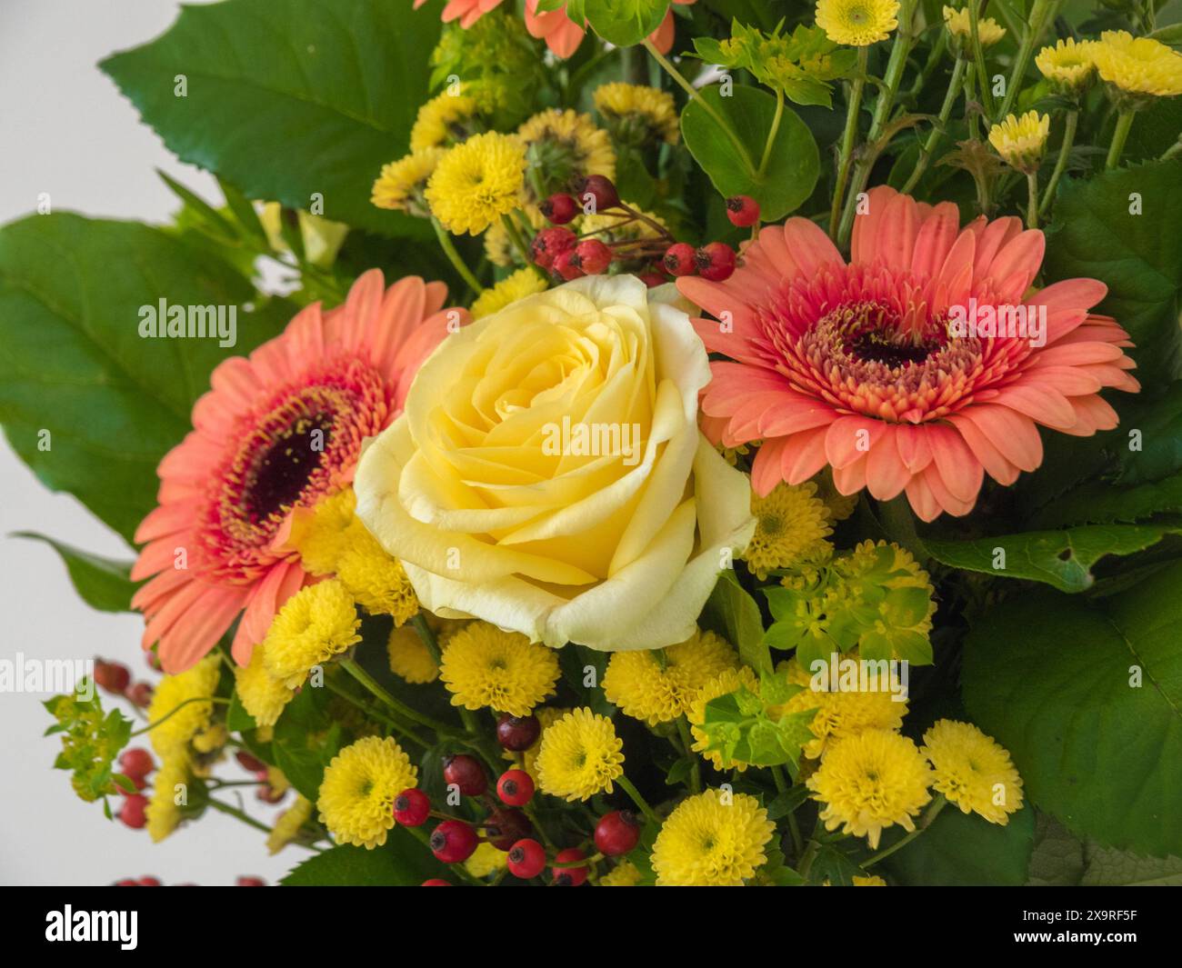 A bouquet of flowers with vivid colors and various species. The bouquet ...