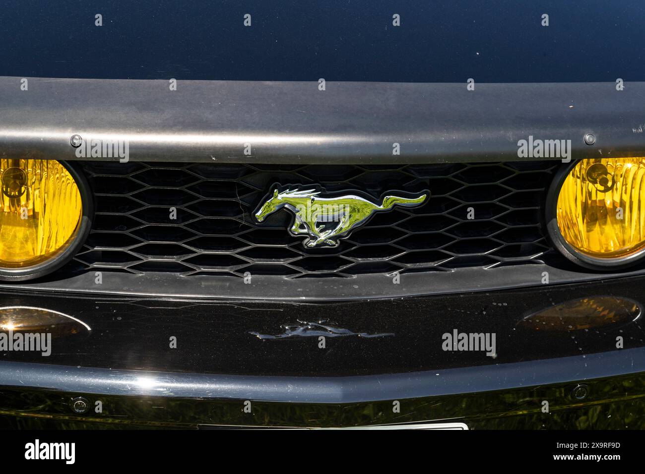 Mustang grill badge at Hanley car meet Stock Photo - Alamy