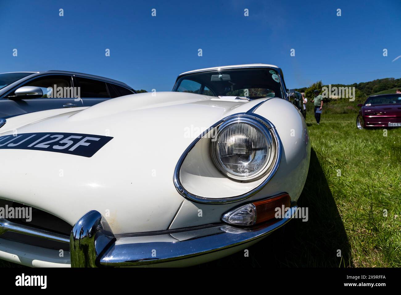 Cream Jaguar E type Coupe at Hanley car meet Stock Photo - Alamy
