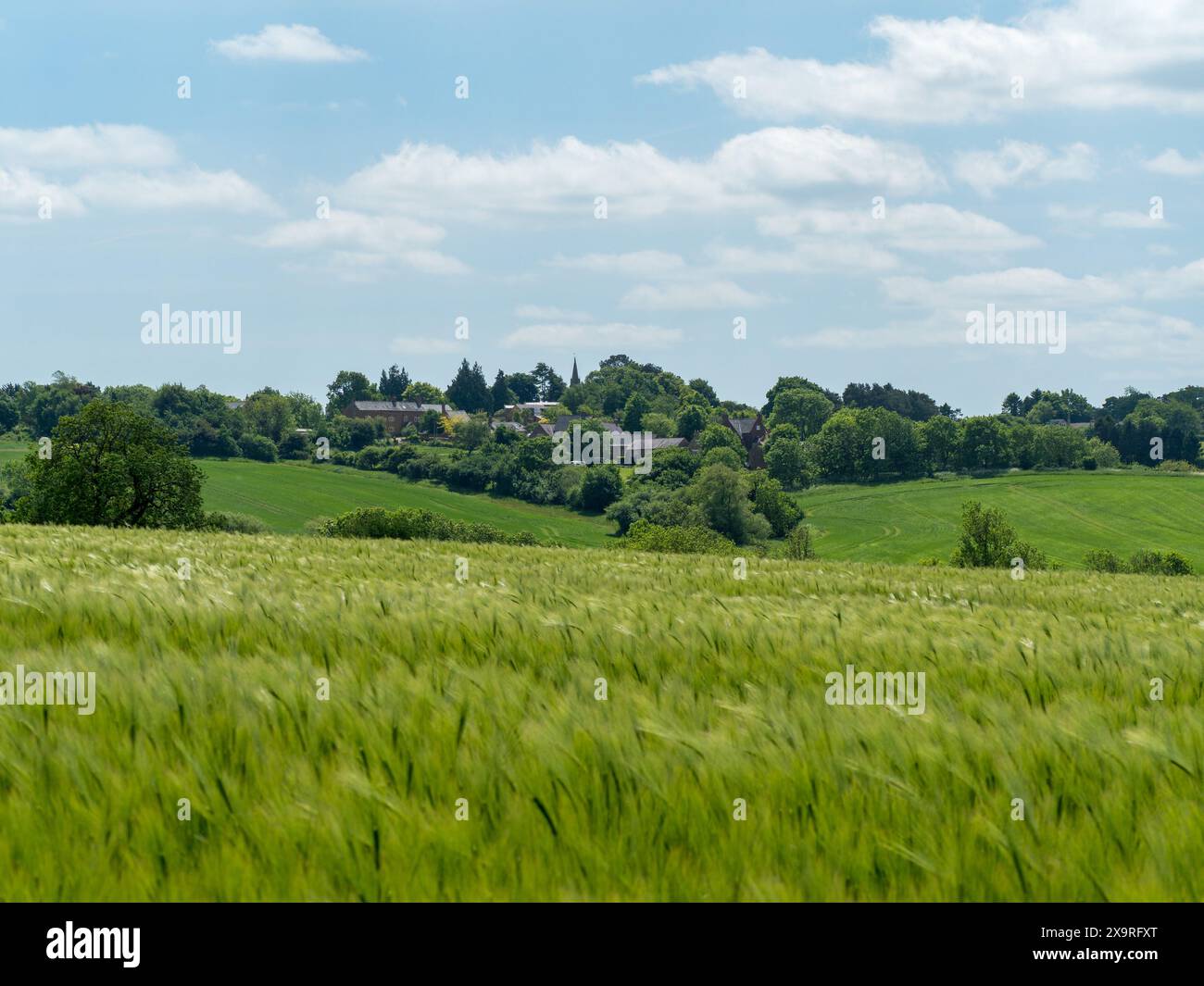 The hill top village of Burrough on the Hill seen on the skyline across ...