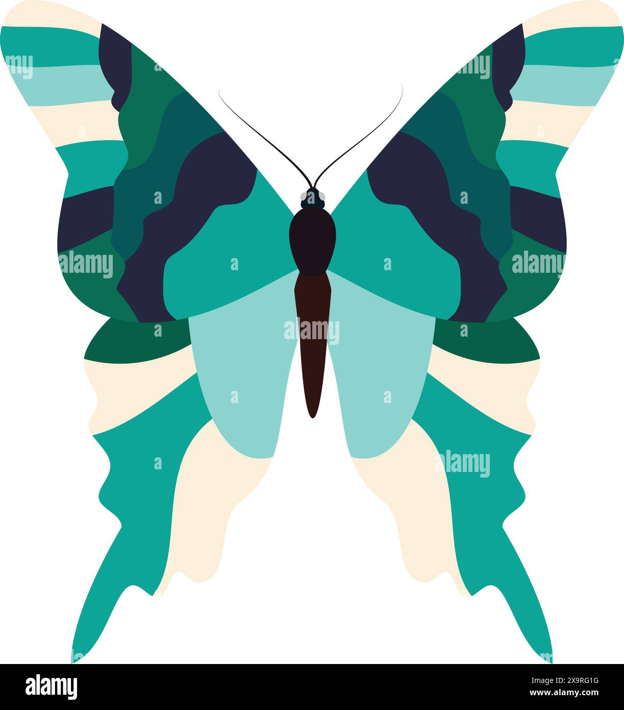 Delicate wings butterfly on Stock Vector Images - Alamy