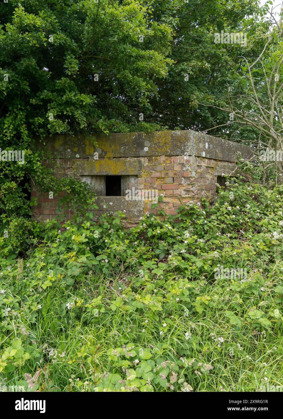Old WWII military pillbox built from red brick and concrete with ...
