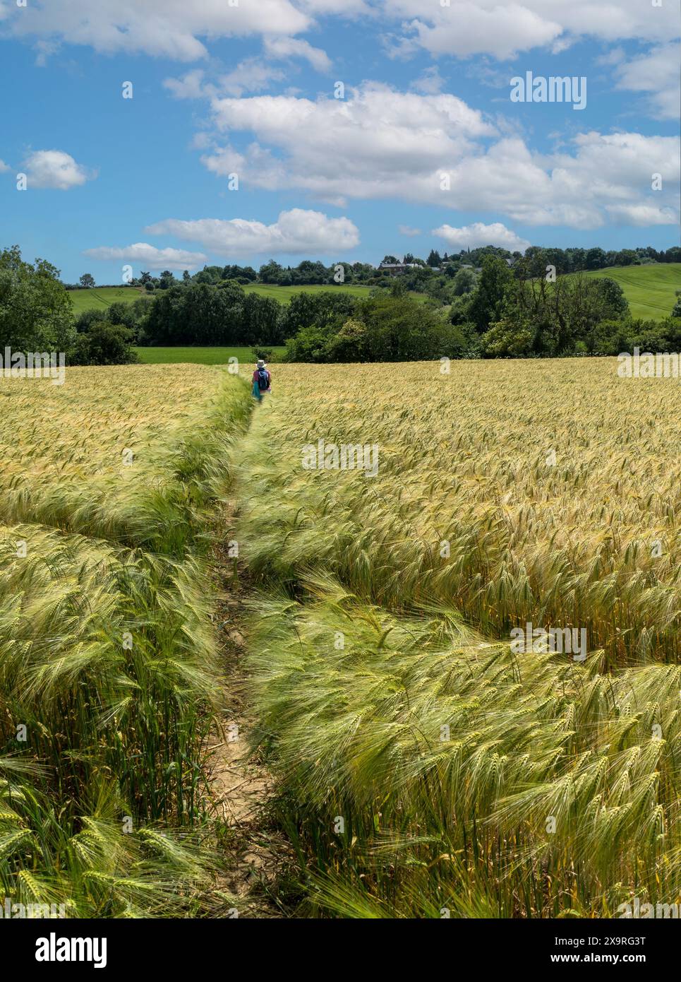 Walker walking footpath through hi-res stock photography and images - Alamy