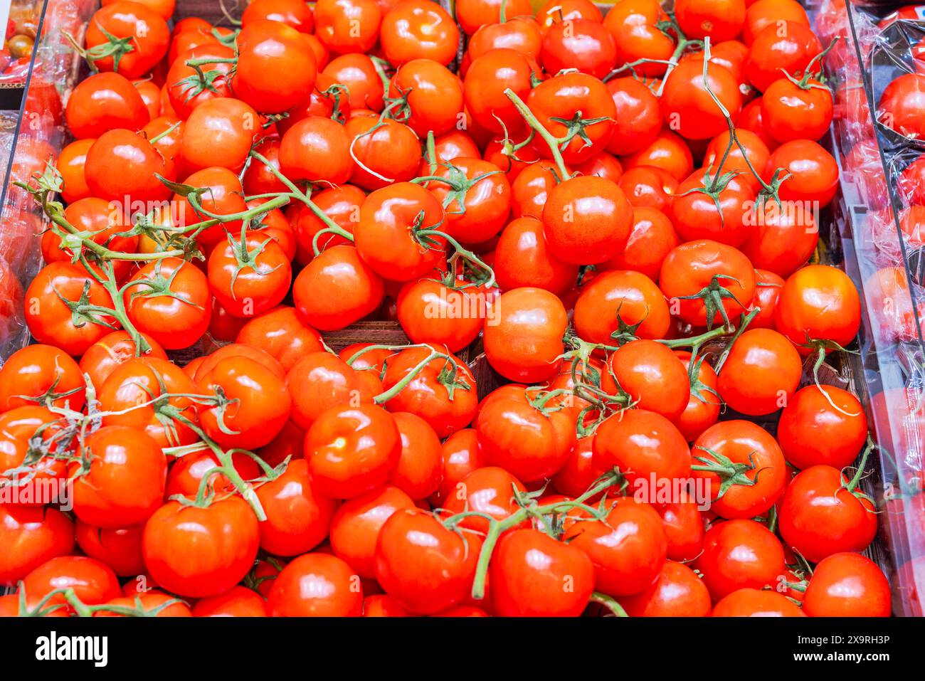 Close-up view of a shelf with red tomatoes in the vegetable section of ...