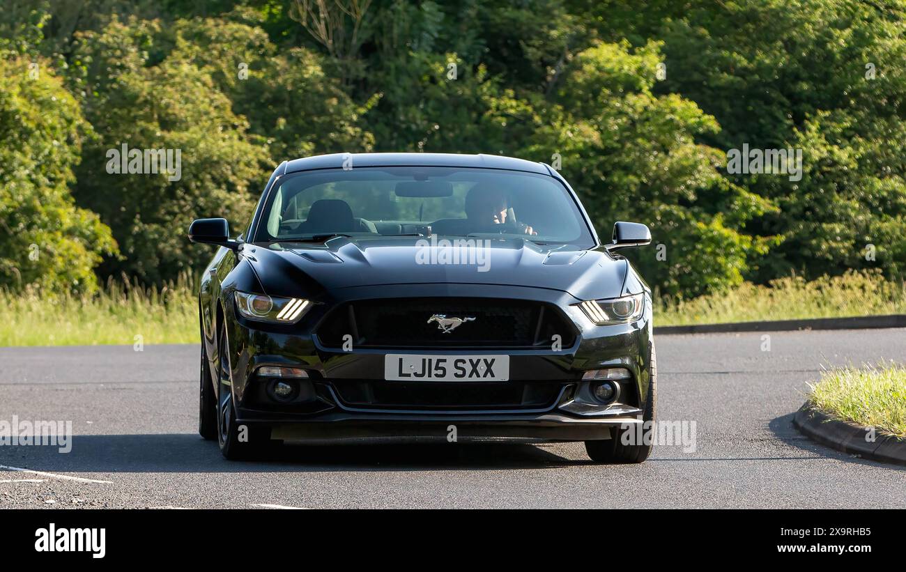 Stony Stratford,UK - June 2nd 2024: 2015 black Ford Mustang car driving ...