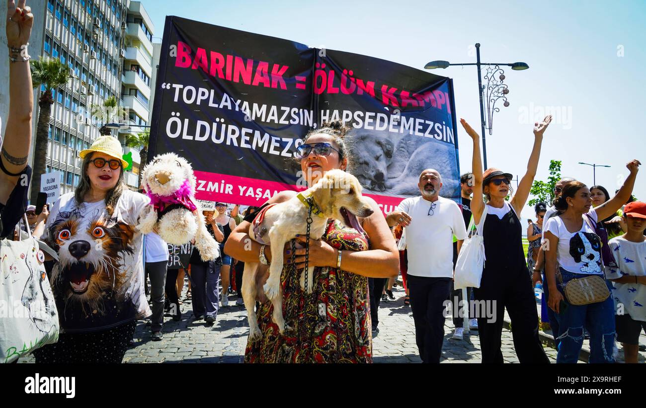 Animal rights activists held a rally across Turkey Animal rights ...