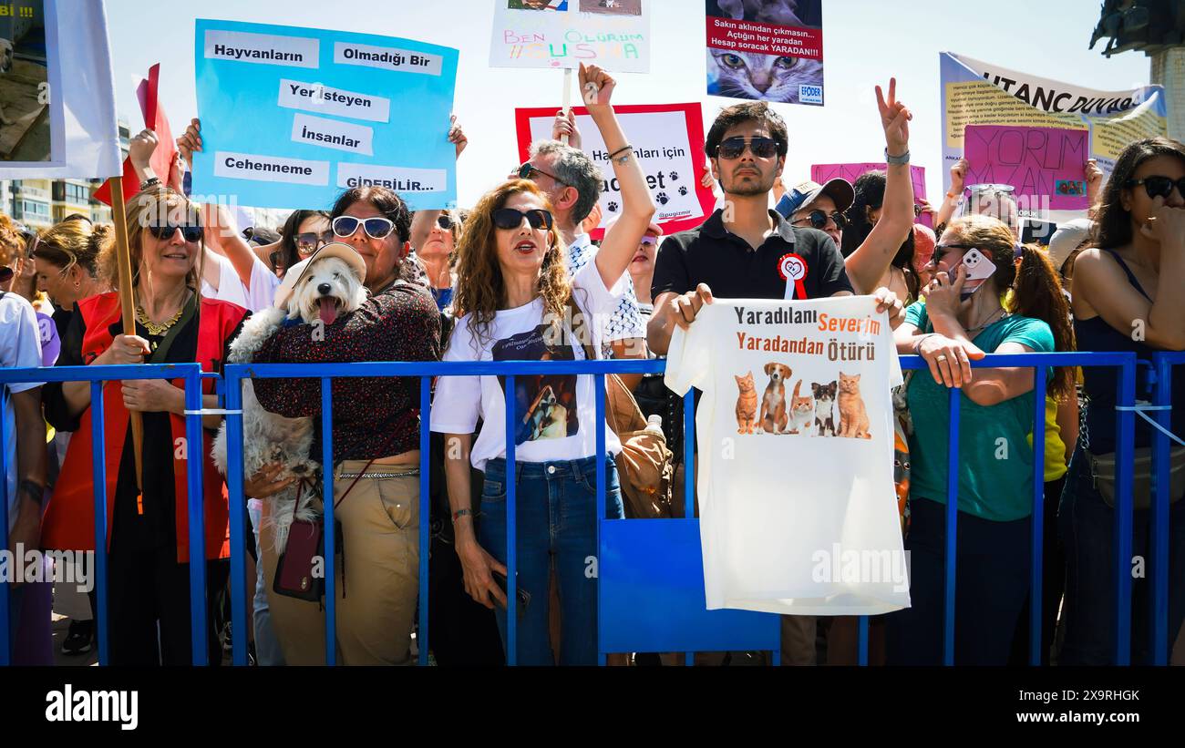 Animal rights activists held a rally across Turkey Animal rights ...