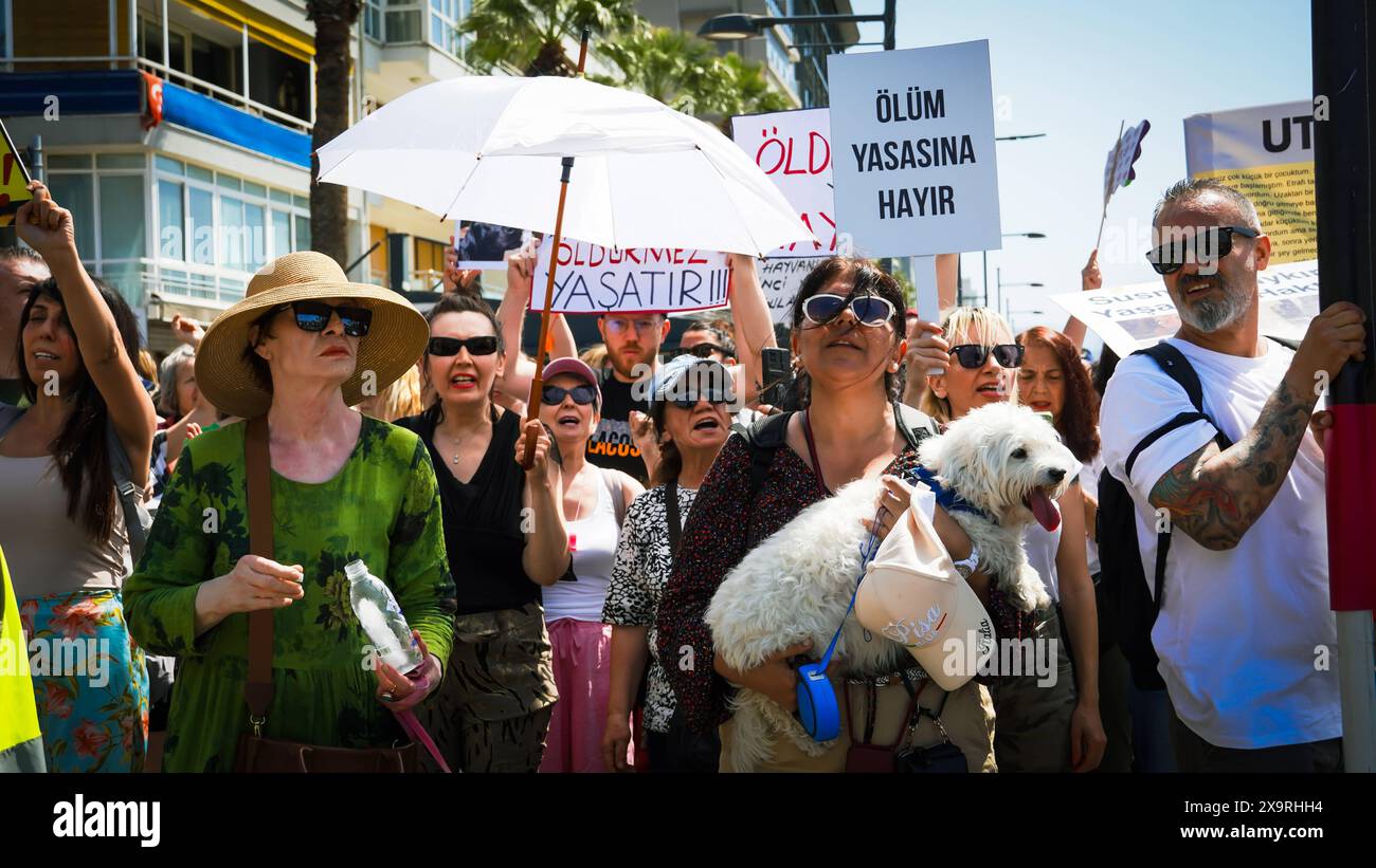 Animal rights activists held a rally across Turkey Animal rights ...