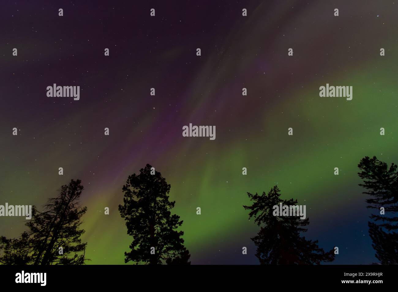 Amazing Aurora Borealis Northern Lights Seen Over Washington State ...