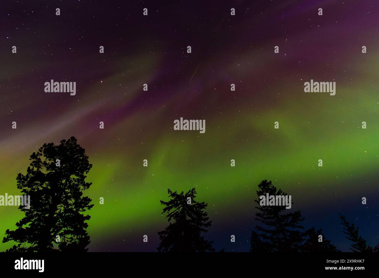 Amazing Aurora Borealis Northern Lights Seen Over Washington State ...