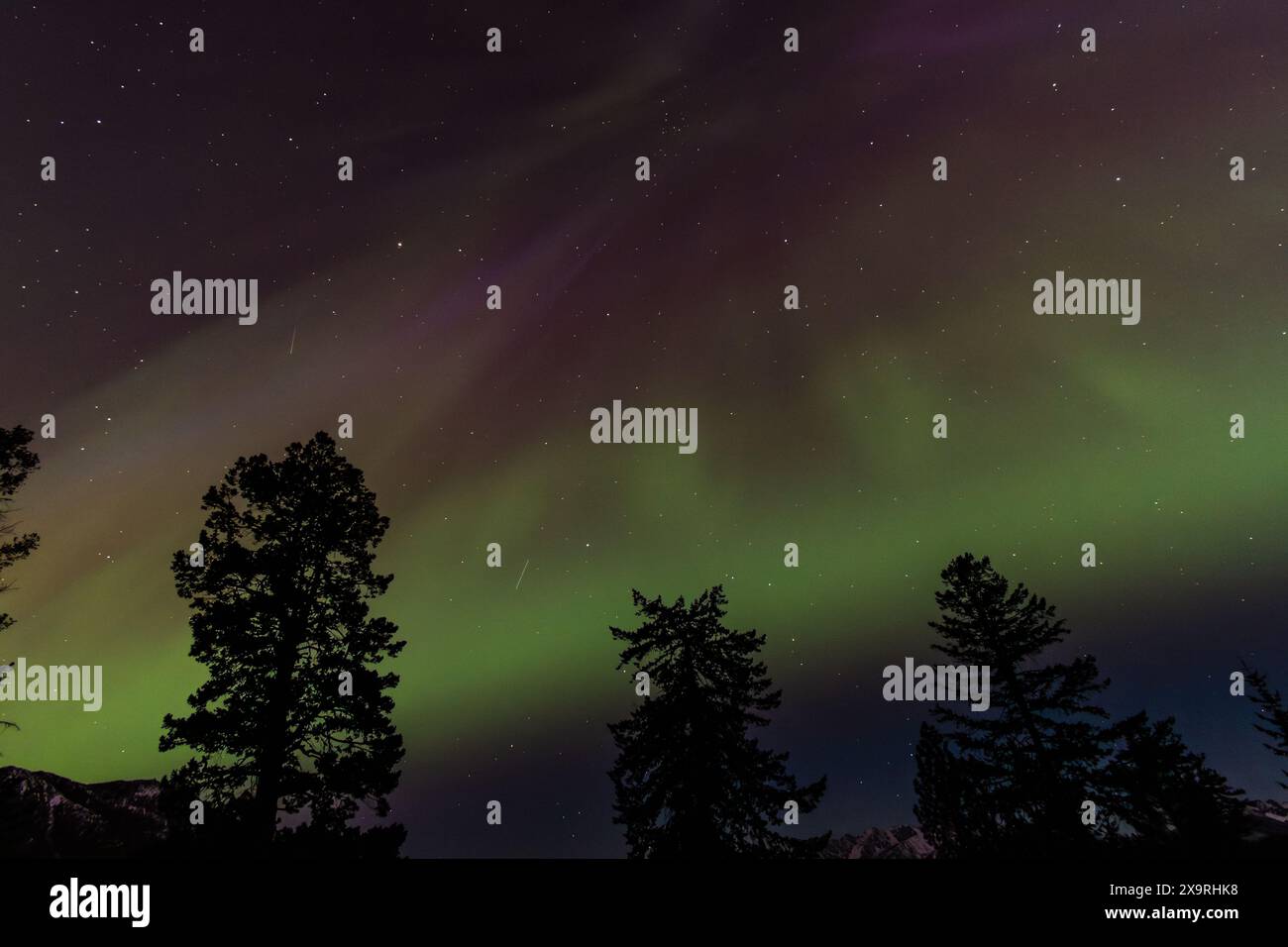 Amazing Aurora Borealis Northern Lights Seen Over Washington State ...