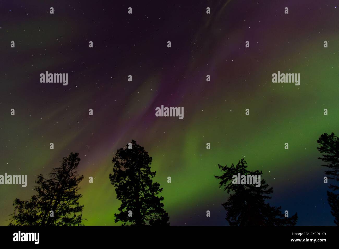 Amazing Aurora Borealis Northern Lights Seen Over Washington State ...