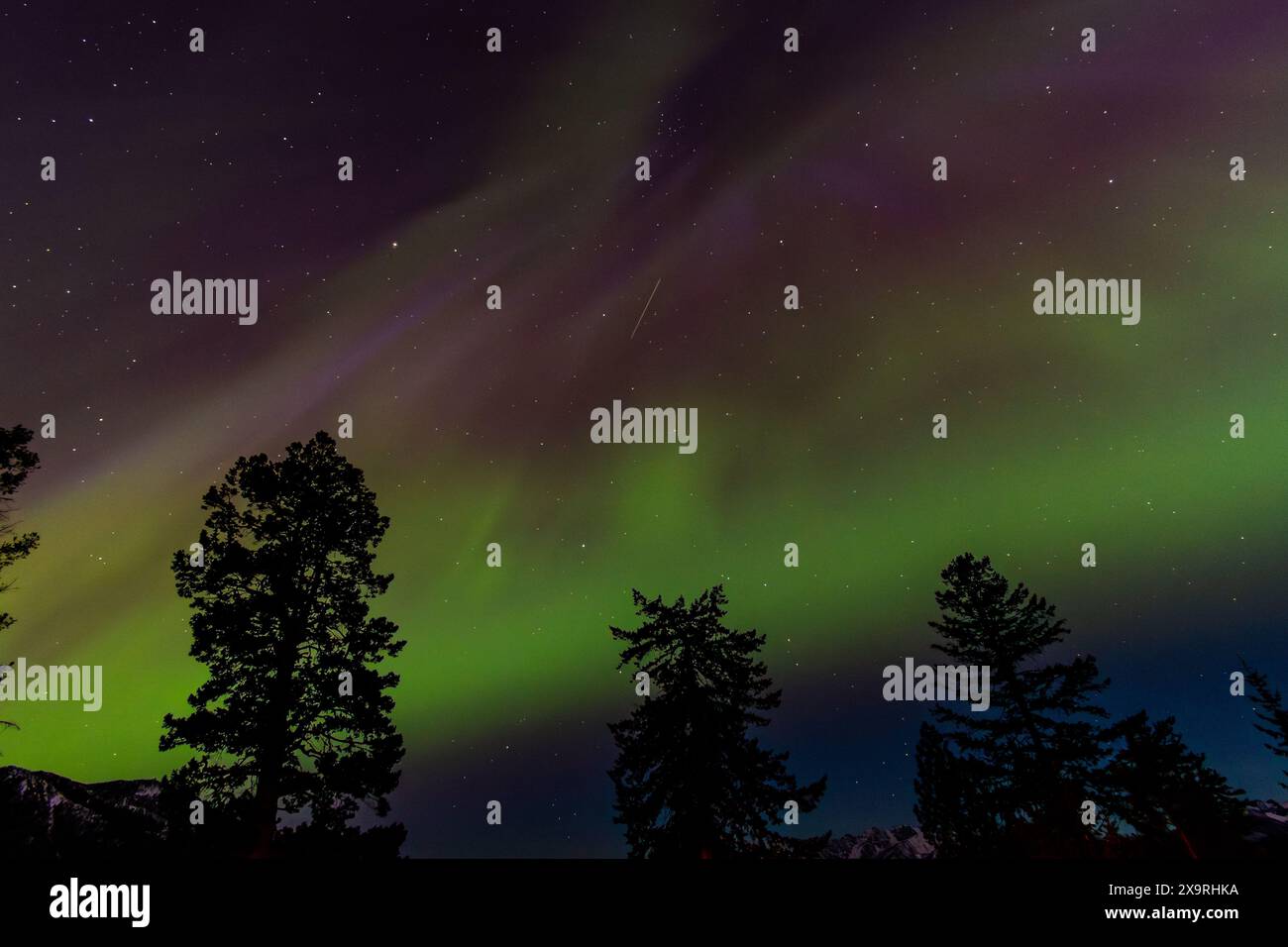 Amazing Aurora Borealis Northern Lights Seen Over Washington State ...