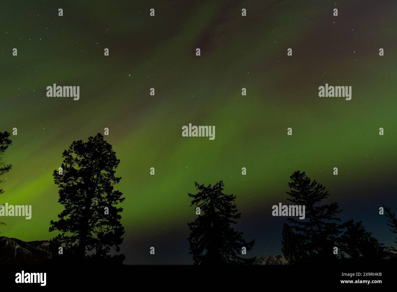 Amazing Aurora Borealis Northern Lights Seen Over Washington State ...