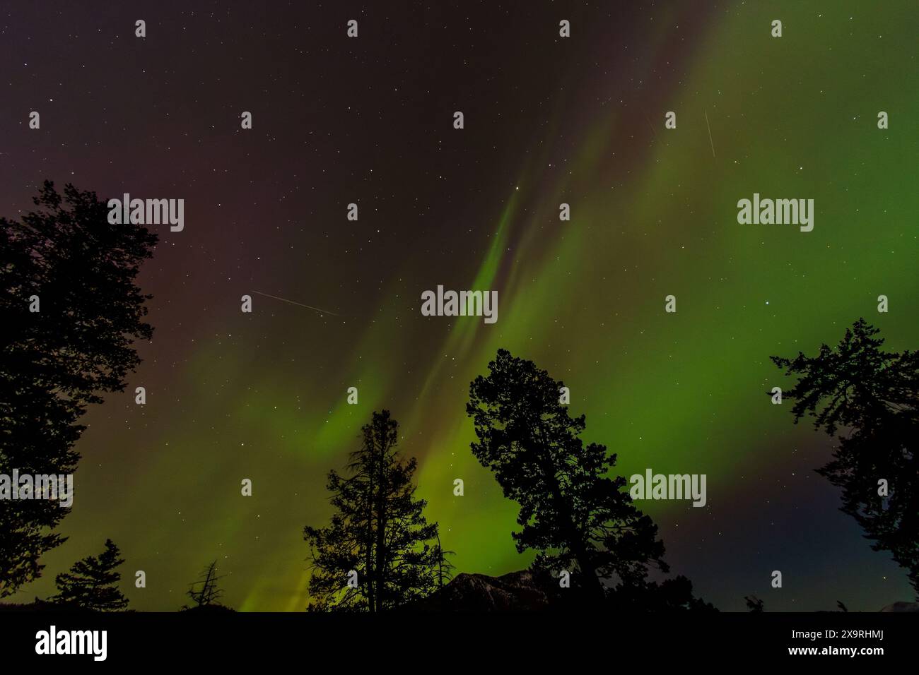 Amazing Aurora Borealis Northern Lights Seen Over Washington State ...