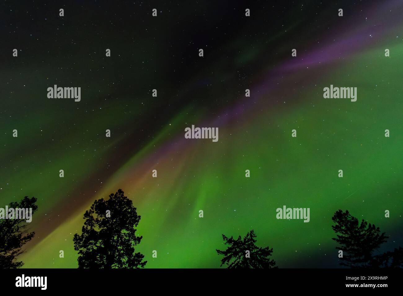 Amazing Aurora Borealis Northern Lights Seen Over Washington State ...
