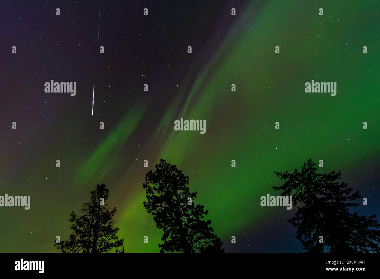Amazing Aurora Borealis Northern Lights Seen Over Washington State ...