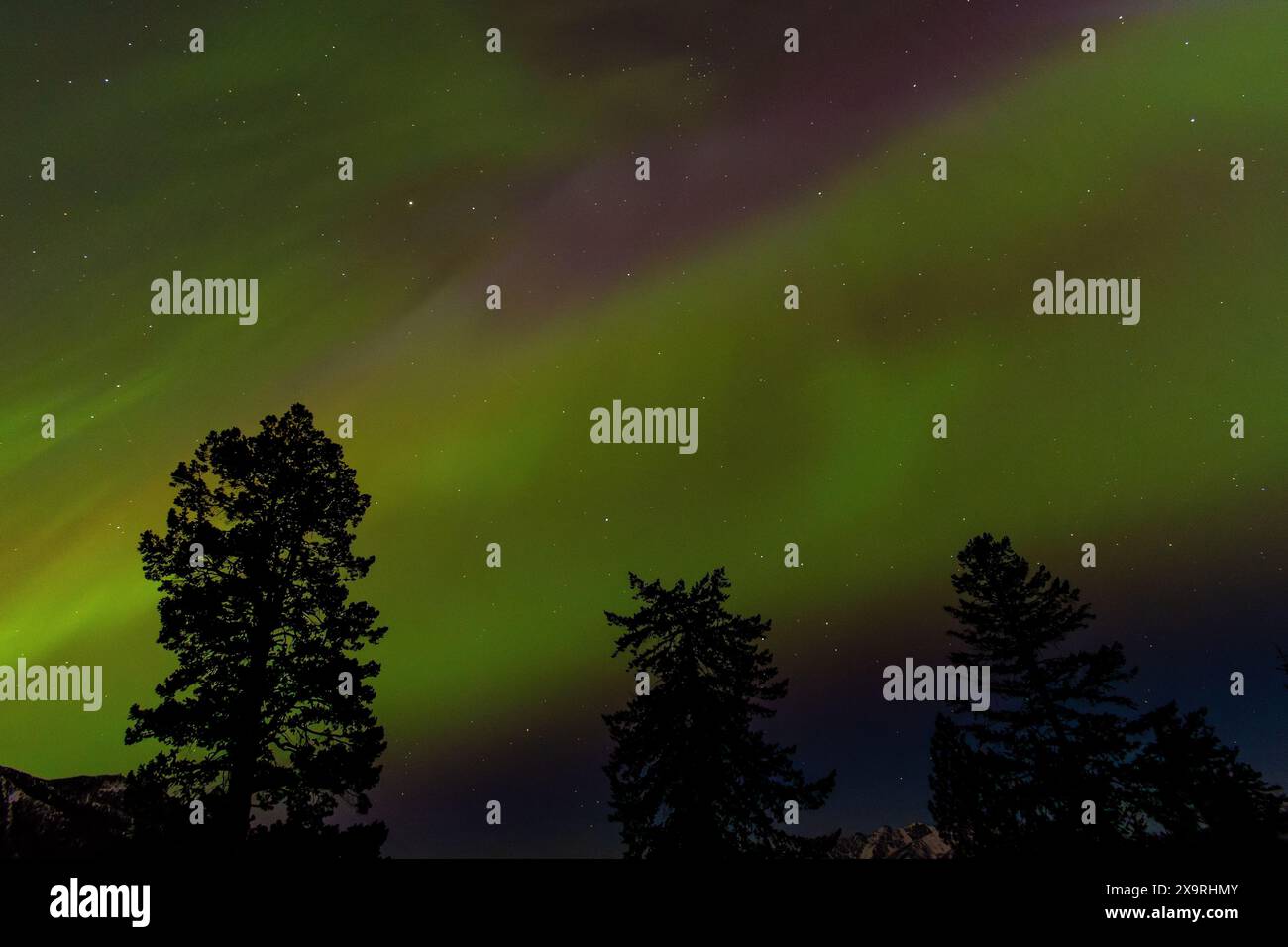 Amazing Aurora Borealis Northern Lights Seen Over Washington State ...