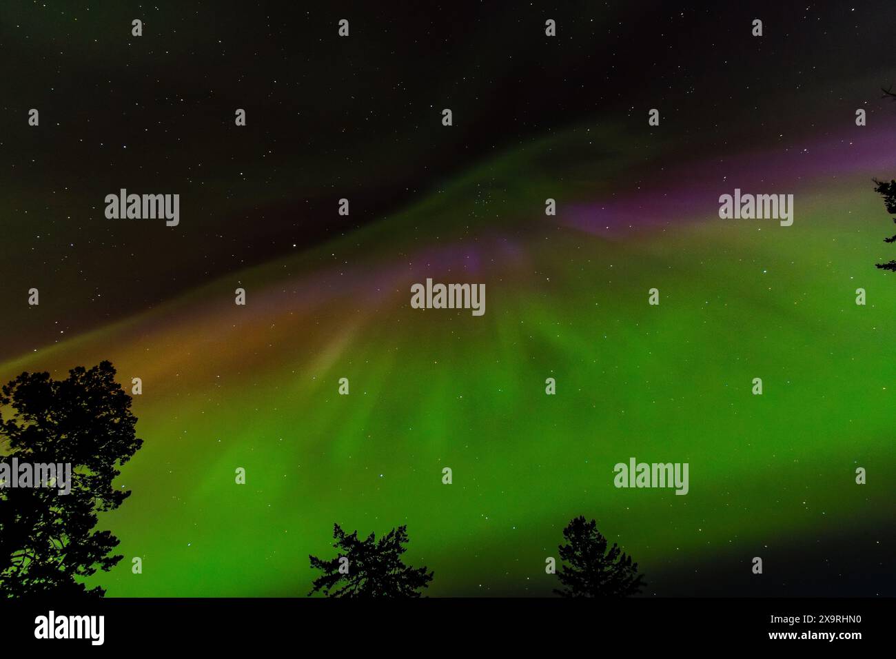 Amazing Aurora Borealis Northern Lights Seen Over Washington State ...