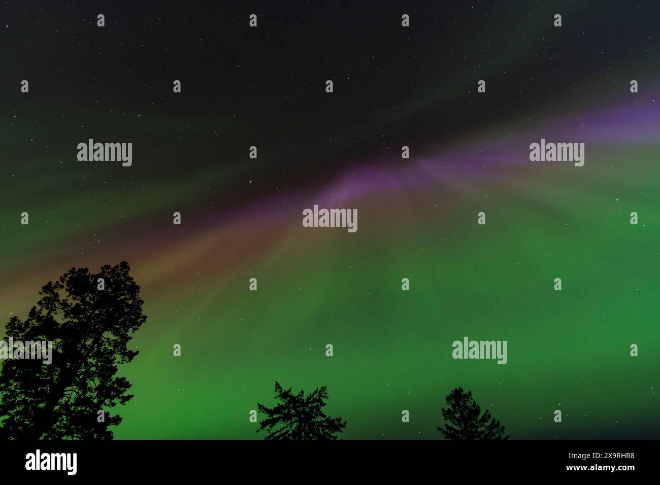 Amazing Aurora Borealis Northern Lights Seen Over Washington State ...