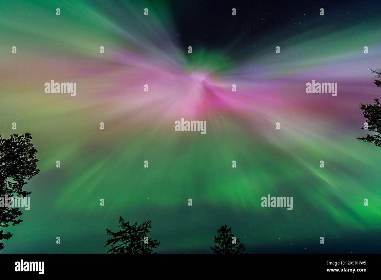 Amazing Aurora Borealis Northern Lights Seen Over Washington State ...