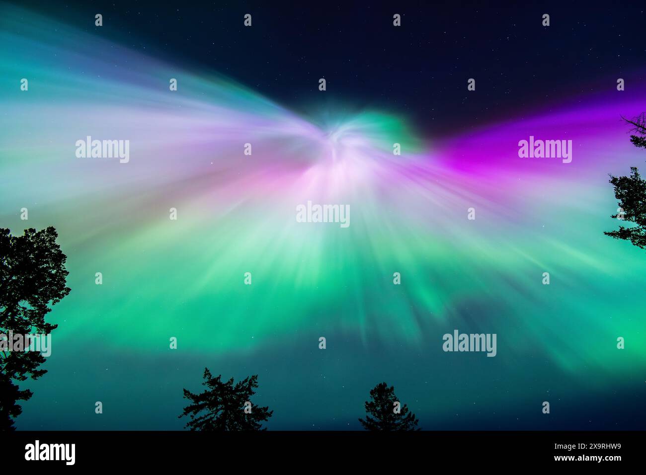 Amazing Aurora Borealis Northern Lights Seen Over Washington State ...