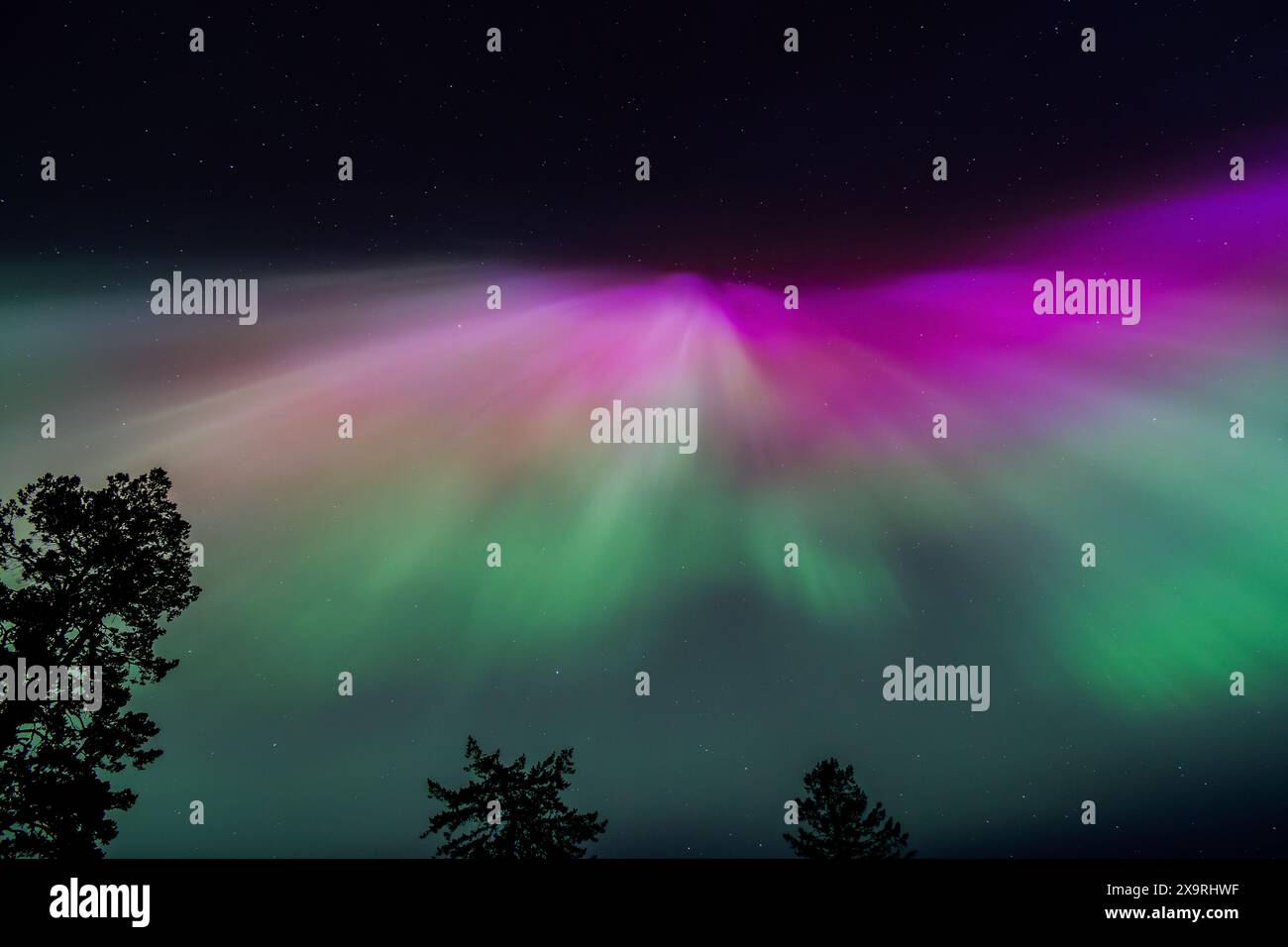 Amazing Aurora Borealis Northern Lights Seen Over Washington State ...